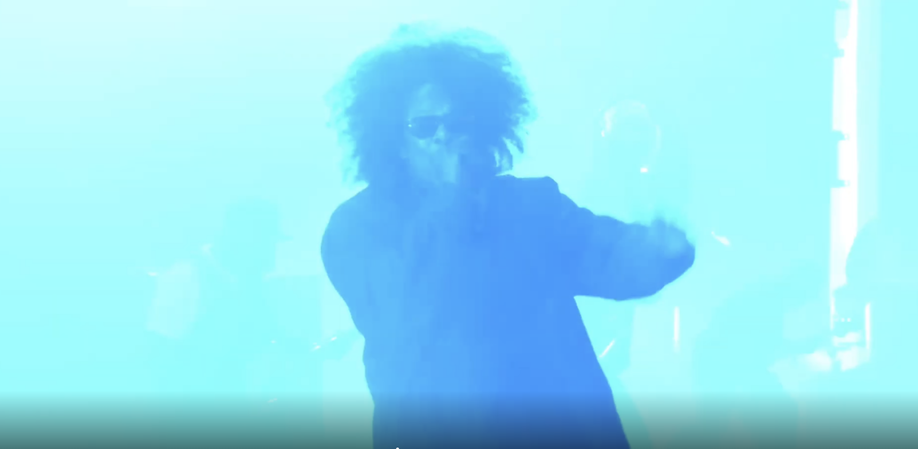 Jay-Z at Roots Picnic 2026: Video Clips from the Performance | Metro ...